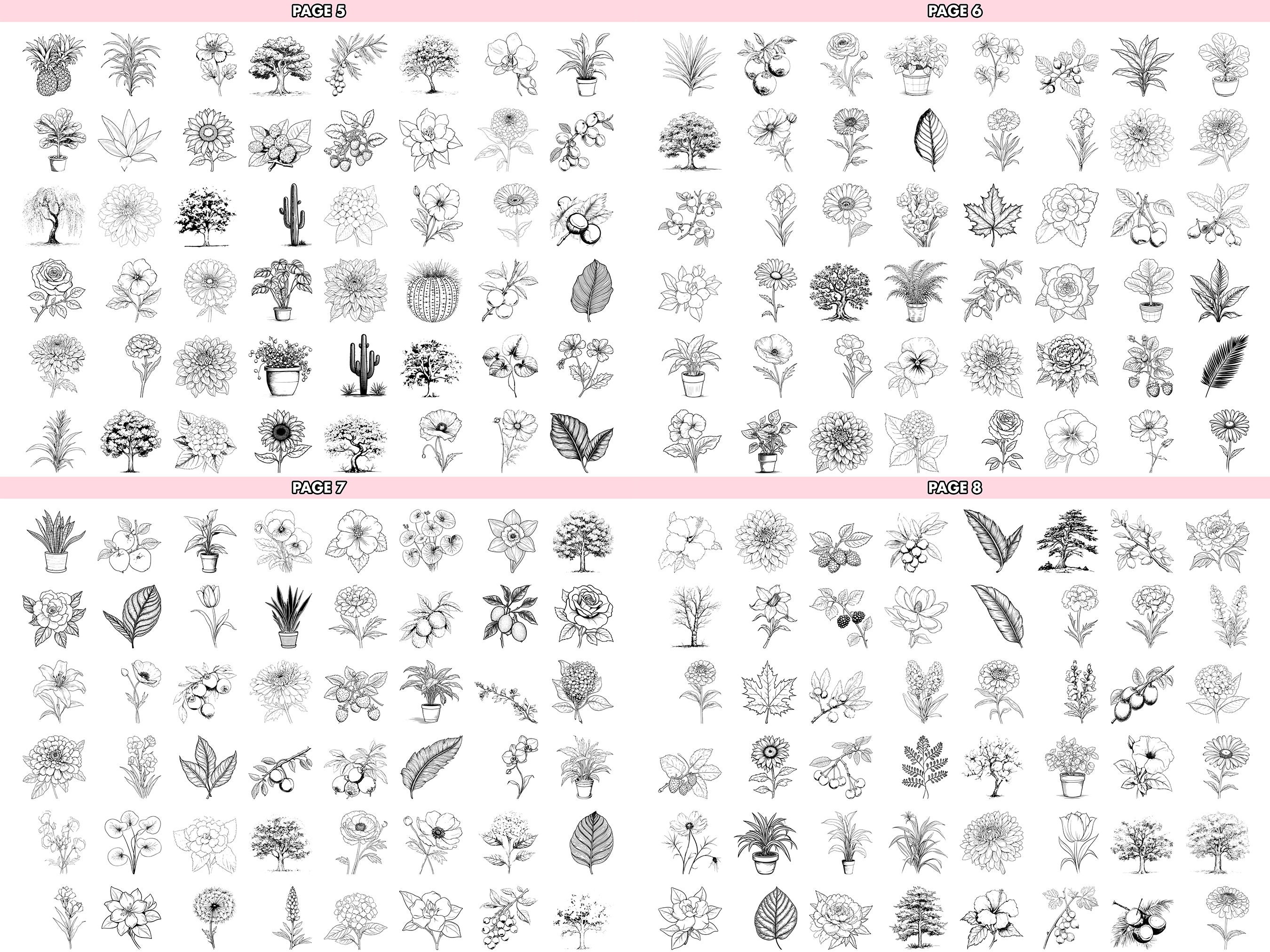 Botanical Garden Illustration Pack - 561 Designs | SVG & PNG | High ...