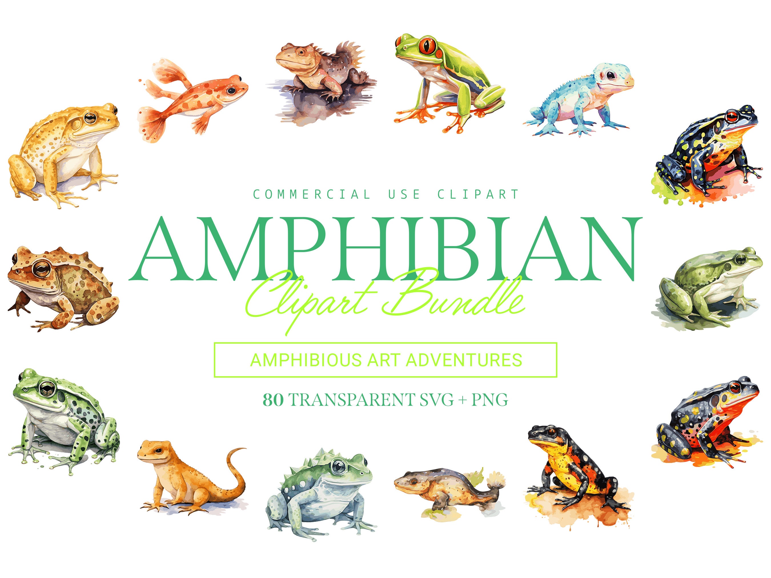 Amphibian Clipart Bundle - 80 Designs | SVG & PNG | High Resolution ...