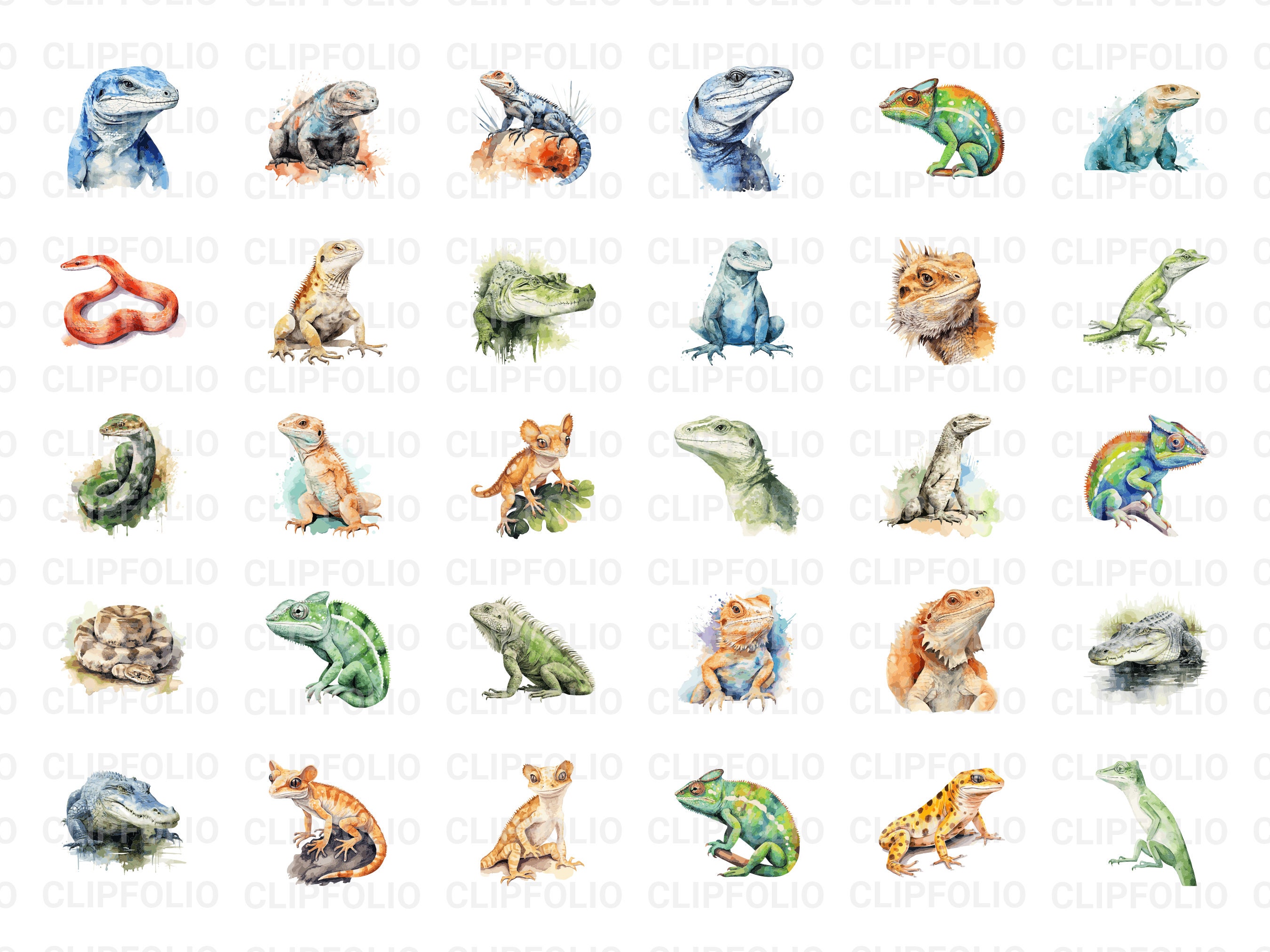 Reptile Clipart Bundle: 80 Realistic Designs (SVG & PNG) - Etsy