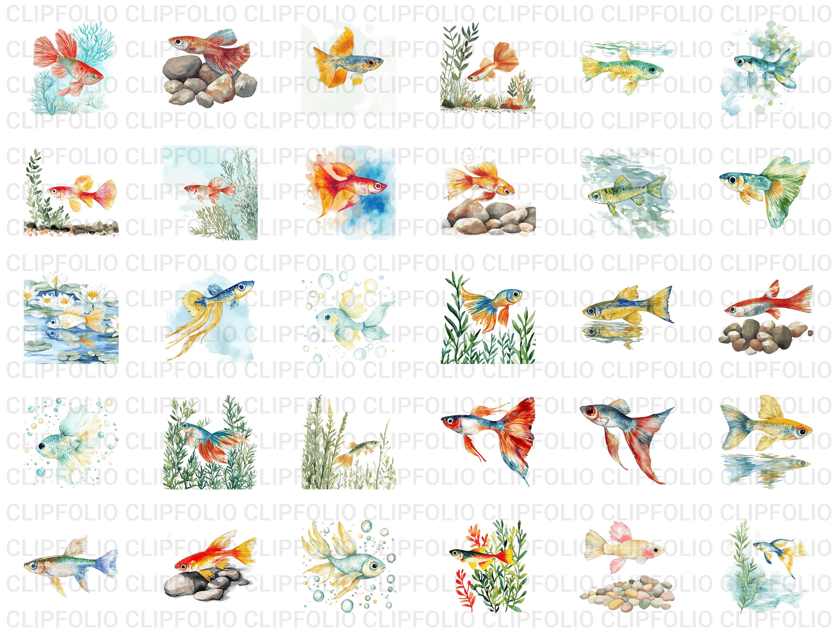 Guppy Clipart Bundle: 102 Aquarium Fish Art (SVG & PNG) - Etsy