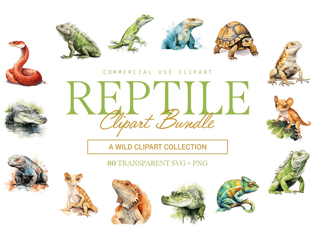 Reptile Clipart Bundle - 80 Designs | SVG & PNG | High Resolution ...
