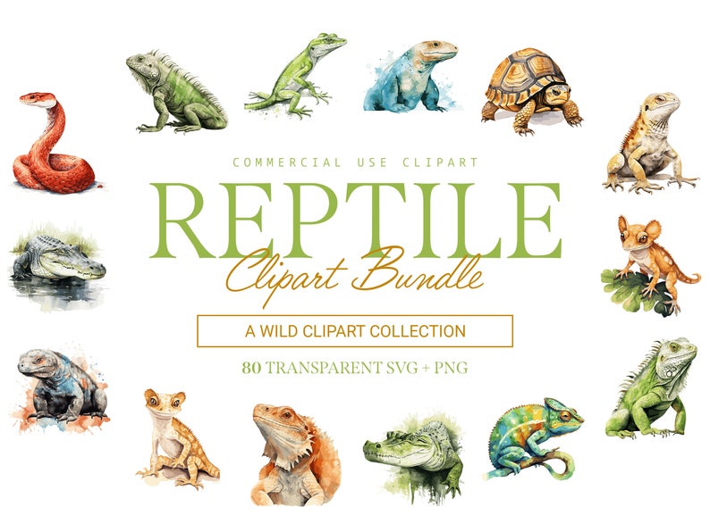 Reptile Clipart Bundle - 80 Designs | SVG & PNG | High Resolution ...