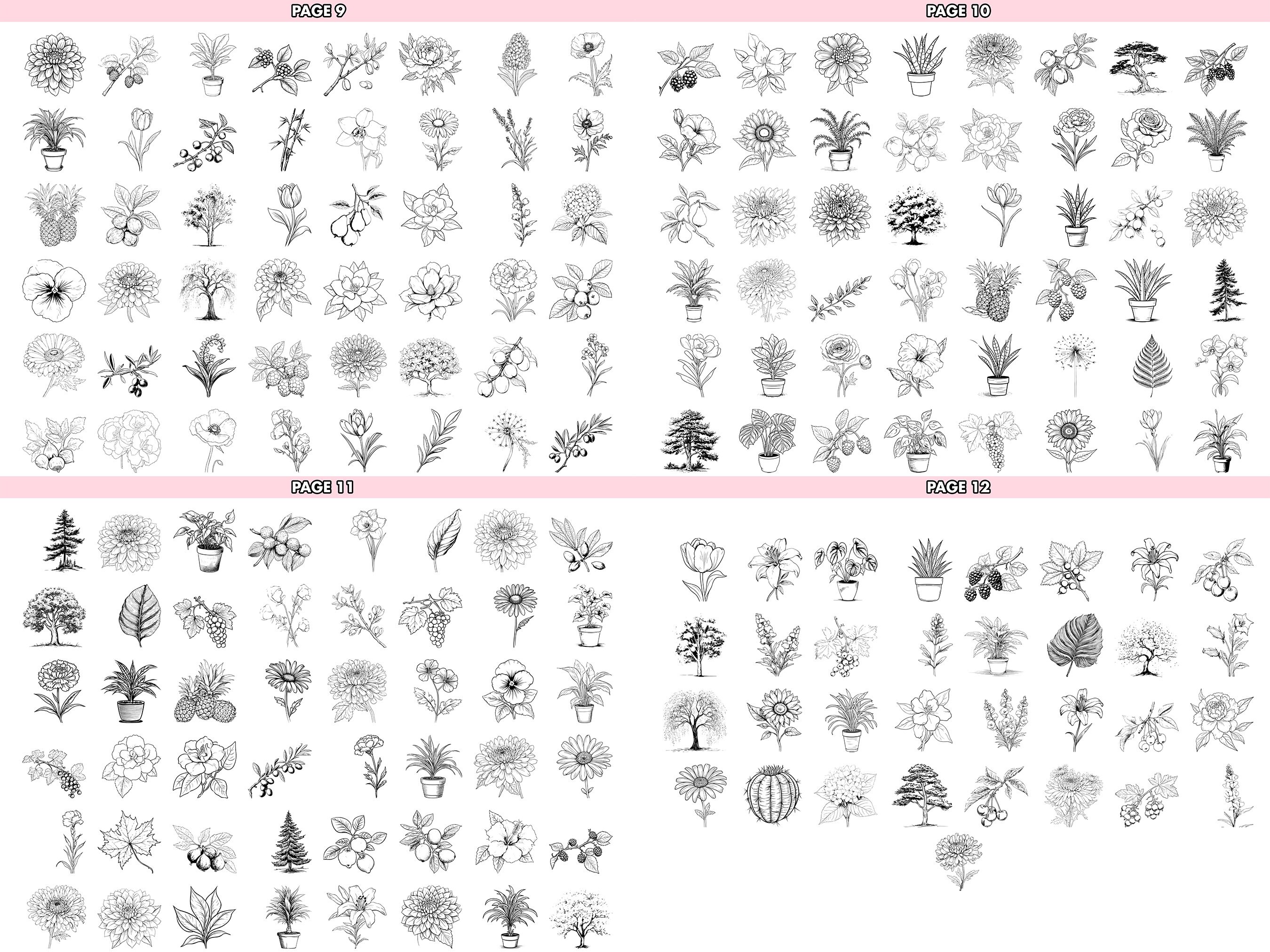Botanical Garden Illustration Pack - 561 Designs | SVG & PNG | High ...