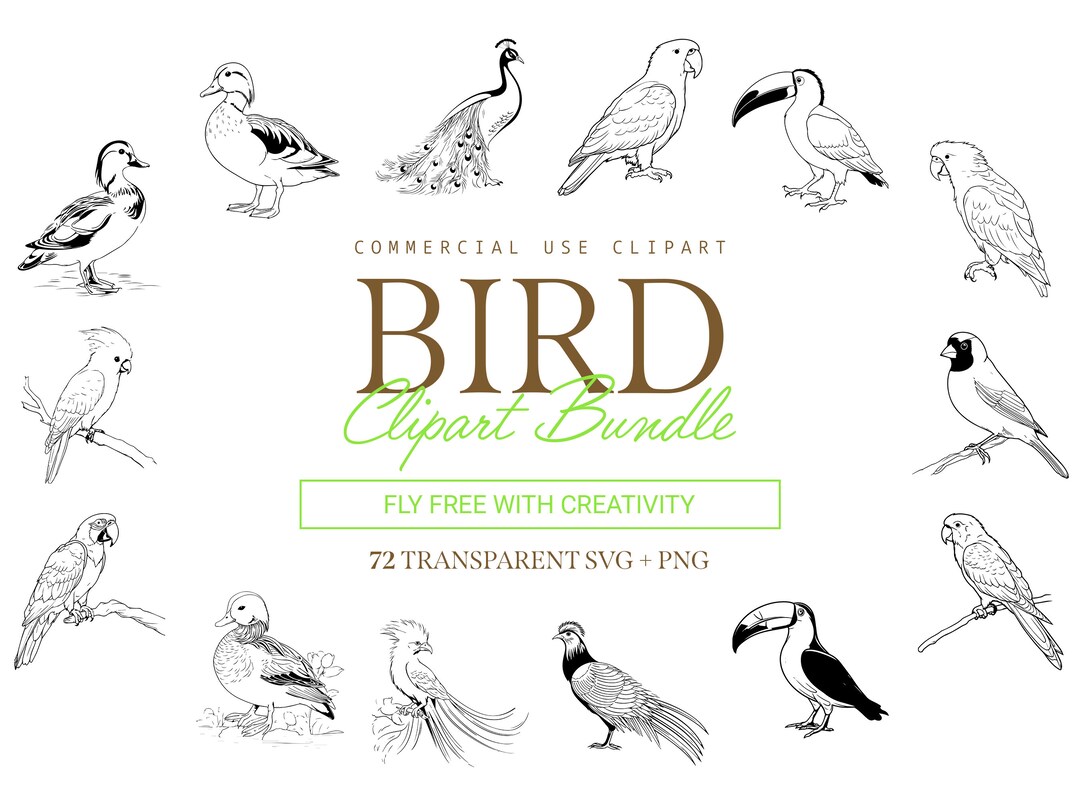 Bird Clipart Bundle - 72 Designs | SVG & PNG | High Resolution ...