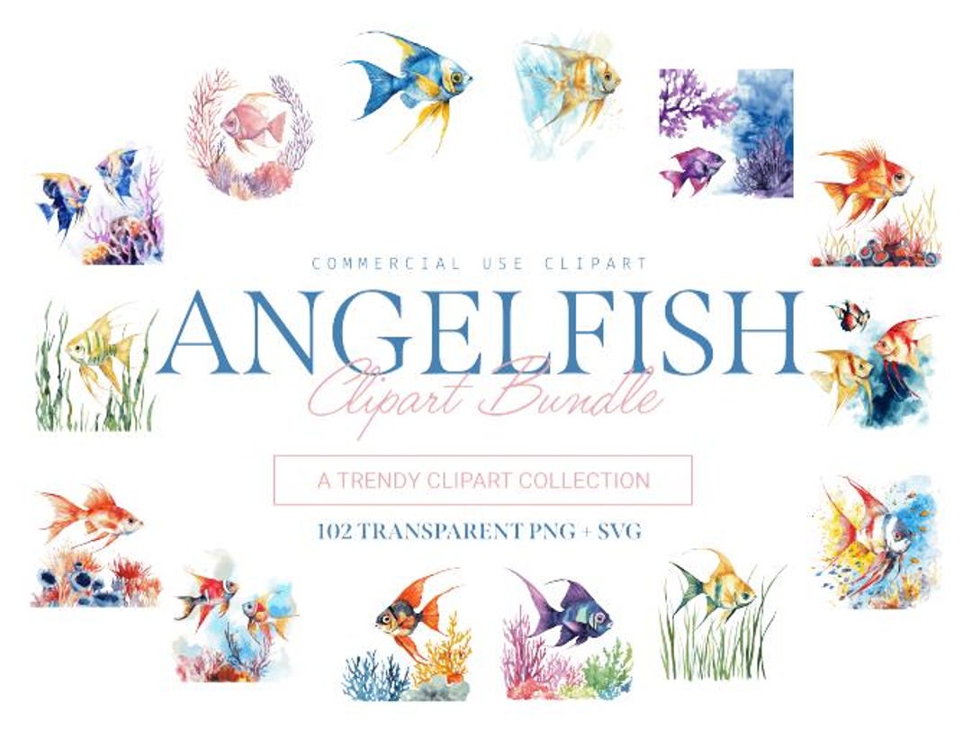 Angelfish Clipart Bundle, 102 Designs, SVG and PNG, Cute and Adorable ...