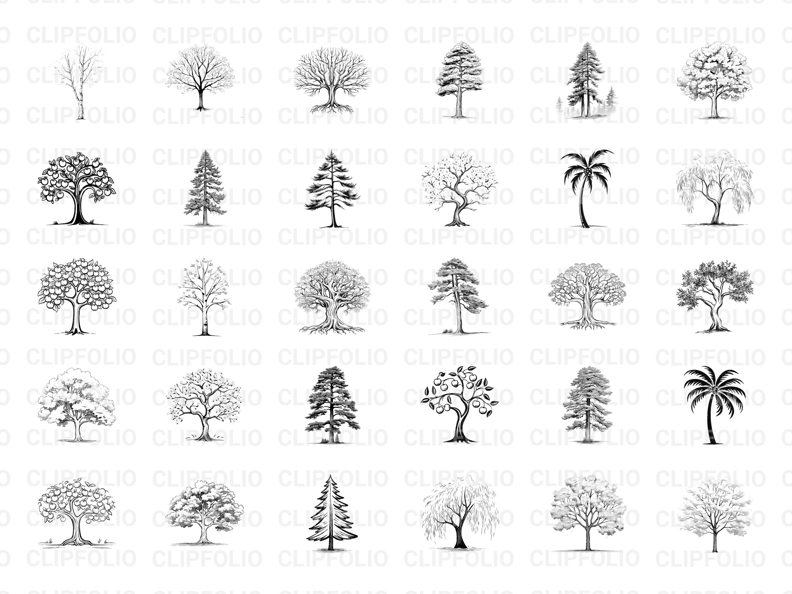 Tree Clipart Bundle - 56 Designs | SVG & PNG | High Resolution ...