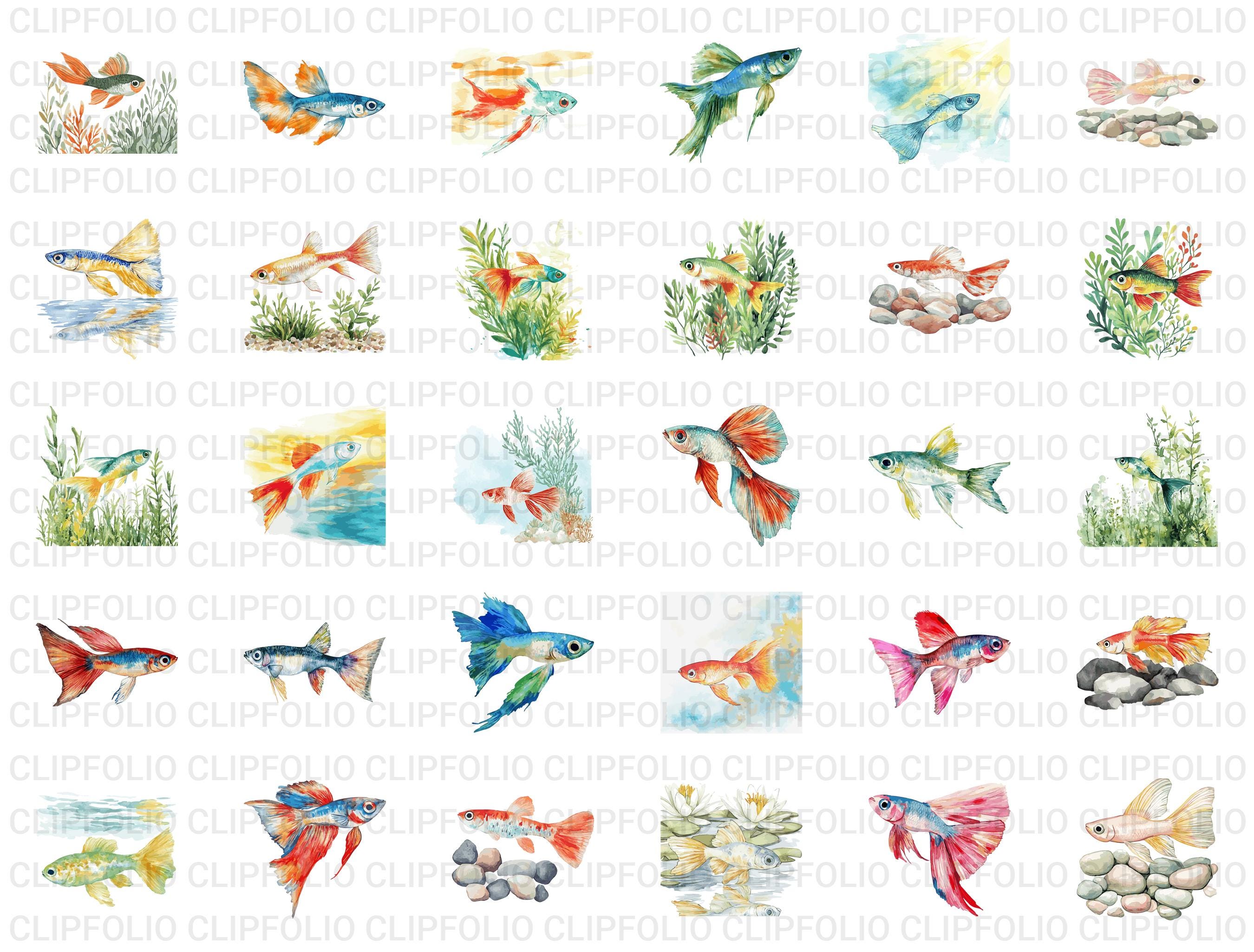 Guppy Clipart Bundle: 102 Aquarium Fish Art (SVG & PNG) - Etsy