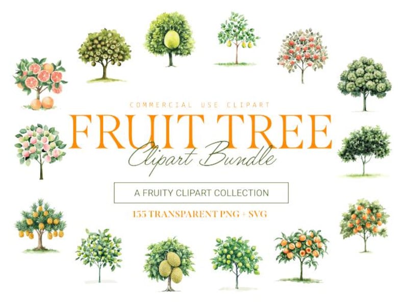 Fruit Tree Clipart Bundle, 155 Designs, SVG and PNG, Botanical and ...