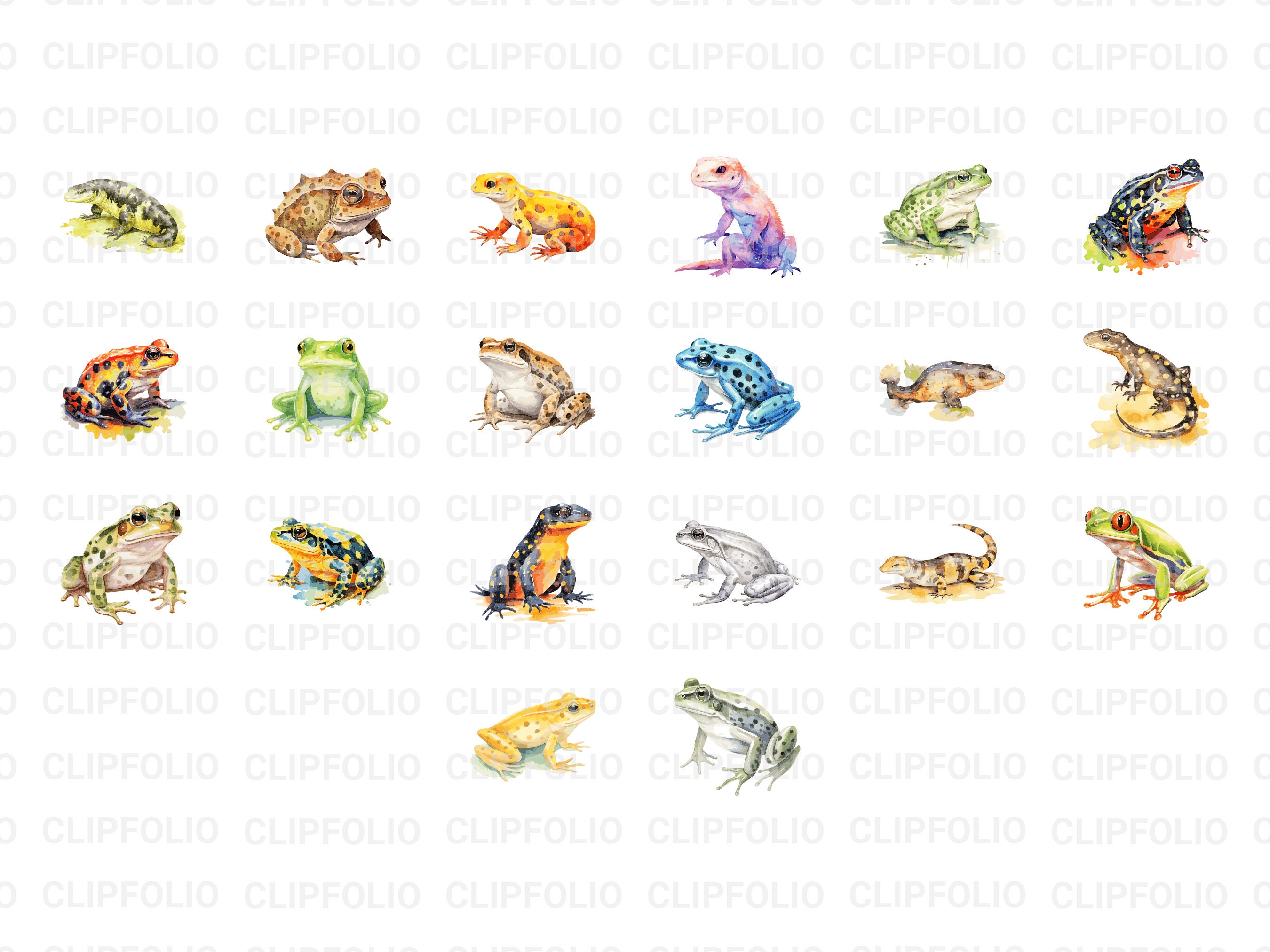 Amphibian Clipart Bundle - 80 Designs | SVG & PNG | High Resolution ...