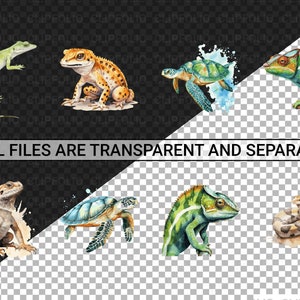 Reptile Clipart Bundle: 80 Realistic Designs (SVG & PNG) - Etsy