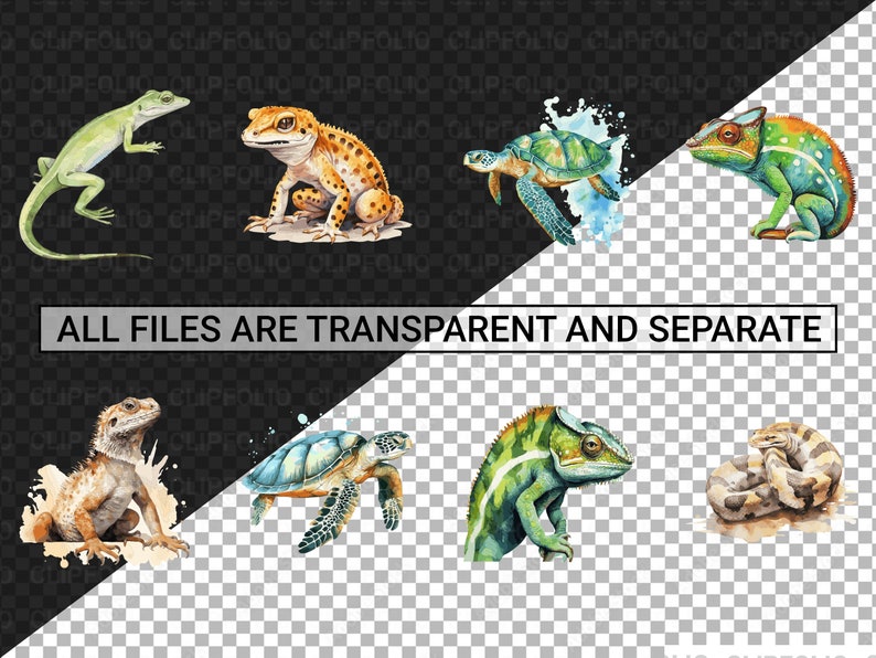 Reptile Clipart Bundle - 80 Designs | SVG & PNG | High Resolution ...