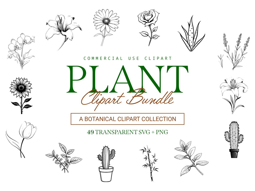 Plant Clipart Bundle - 49 Designs | SVG & PNG | High Resolution ...