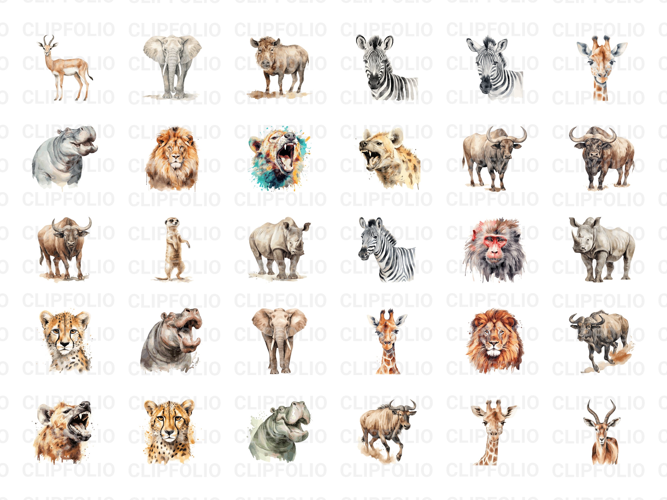 Safari Animal Clipart Bundle: 60 African Wildlife Designs (SVG & PNG ...