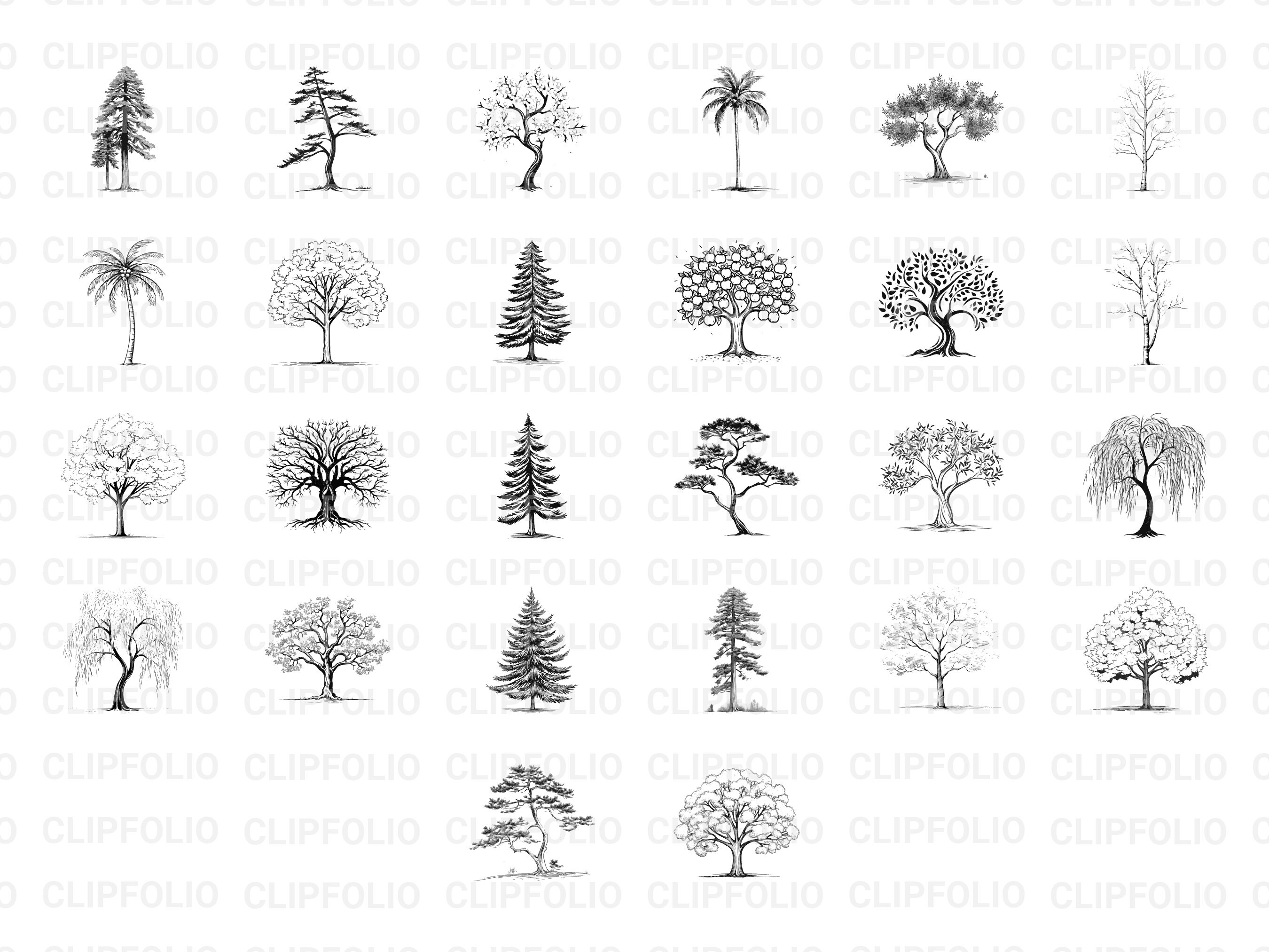 Tree Clipart Bundle - 56 Designs | SVG & PNG | High Resolution ...
