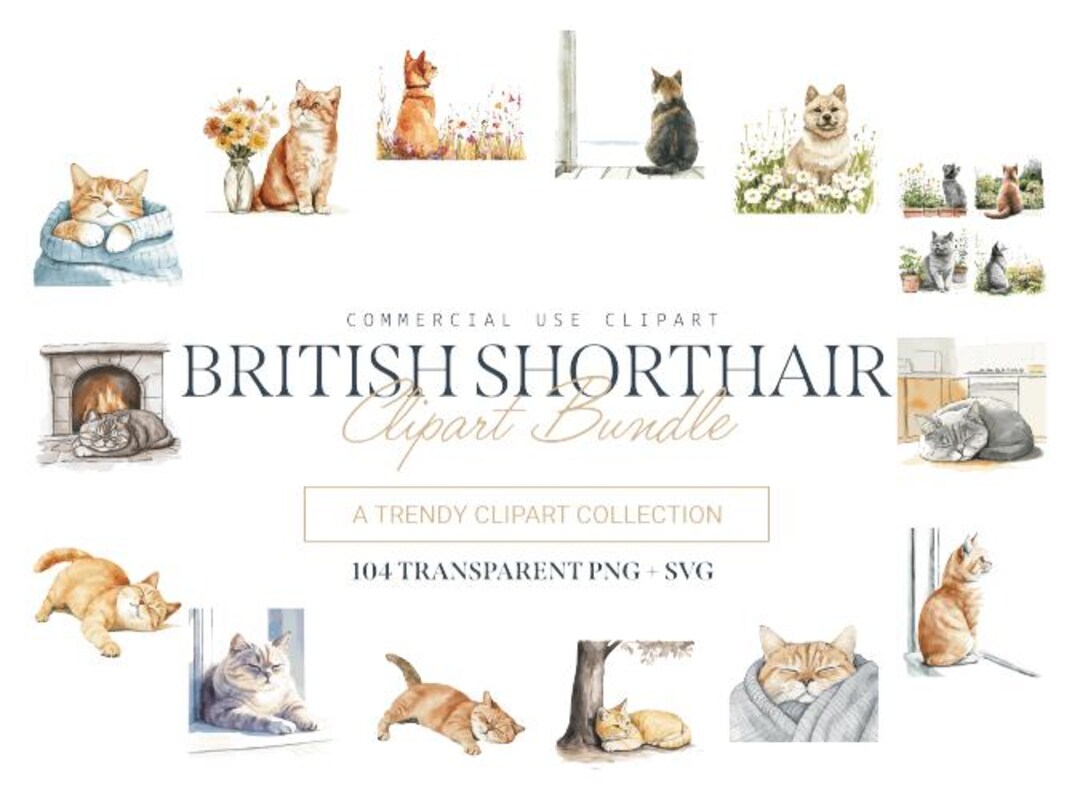 British Shorthair Clipart Bundle, 104 Designs, SVG and PNG, Cute and ...