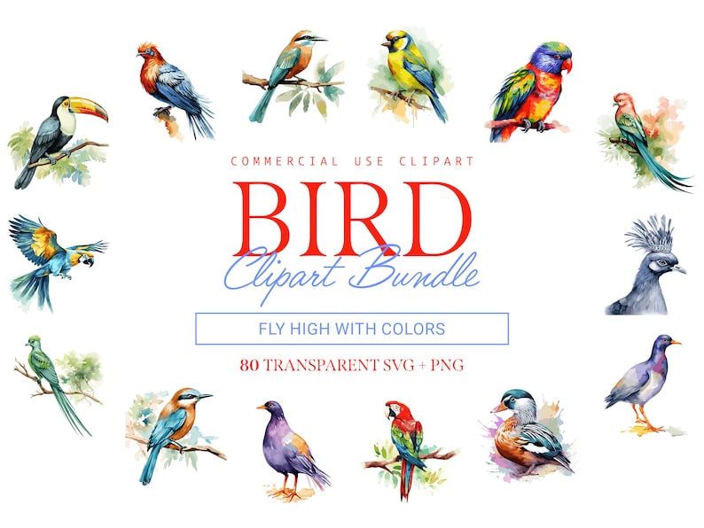 Bird Clipart Bundle 80 Designs SVG & PNG High Resolution - Etsy