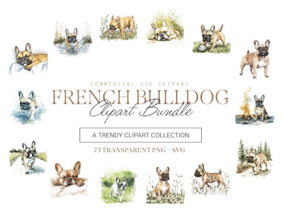 Bulldog Clipart Bundle, 73 Designs, SVG and PNG, Cute and Adorable Dog ...
