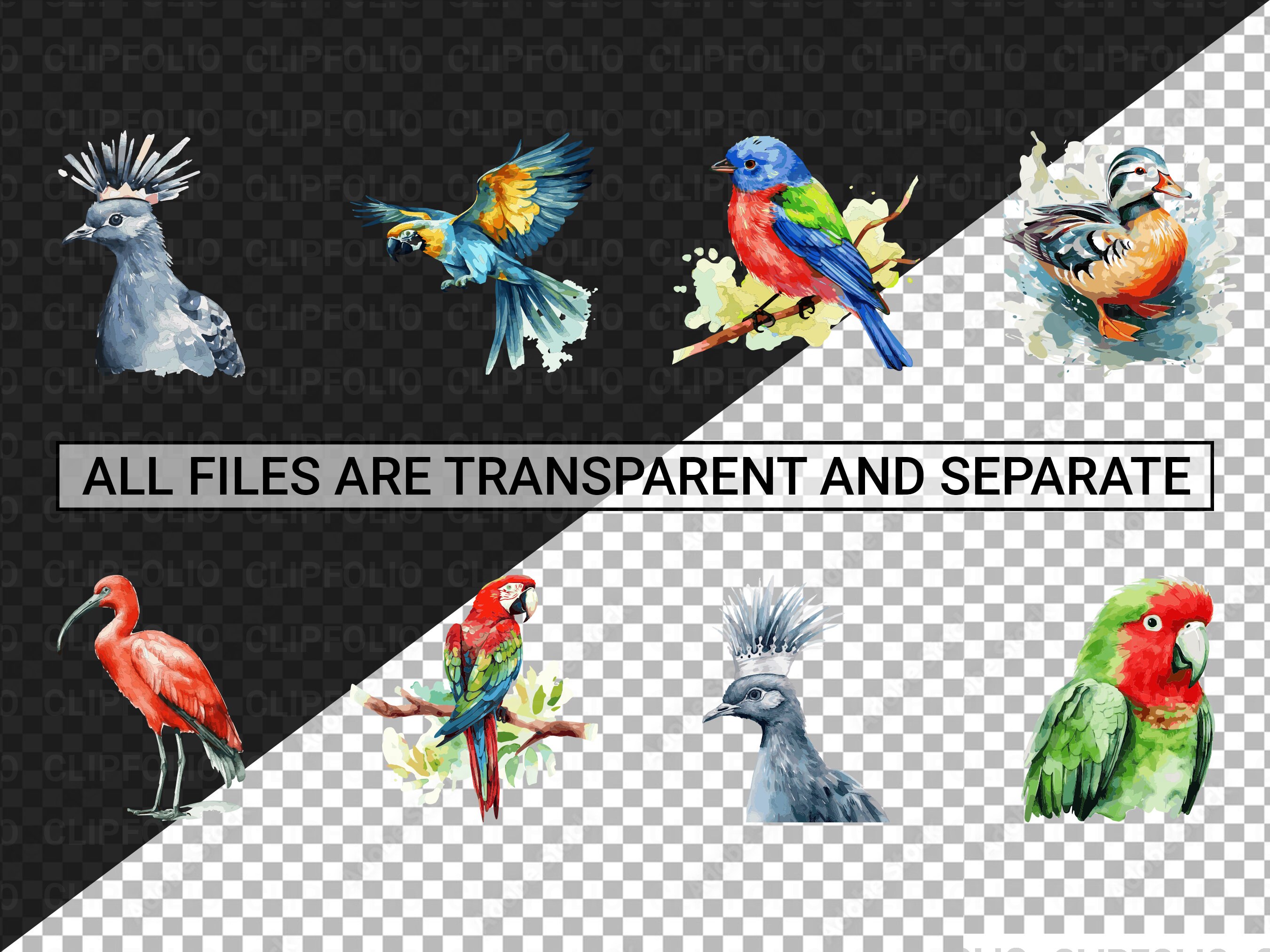 Bird Clipart Bundle 80 Designs SVG & PNG High Resolution - Etsy