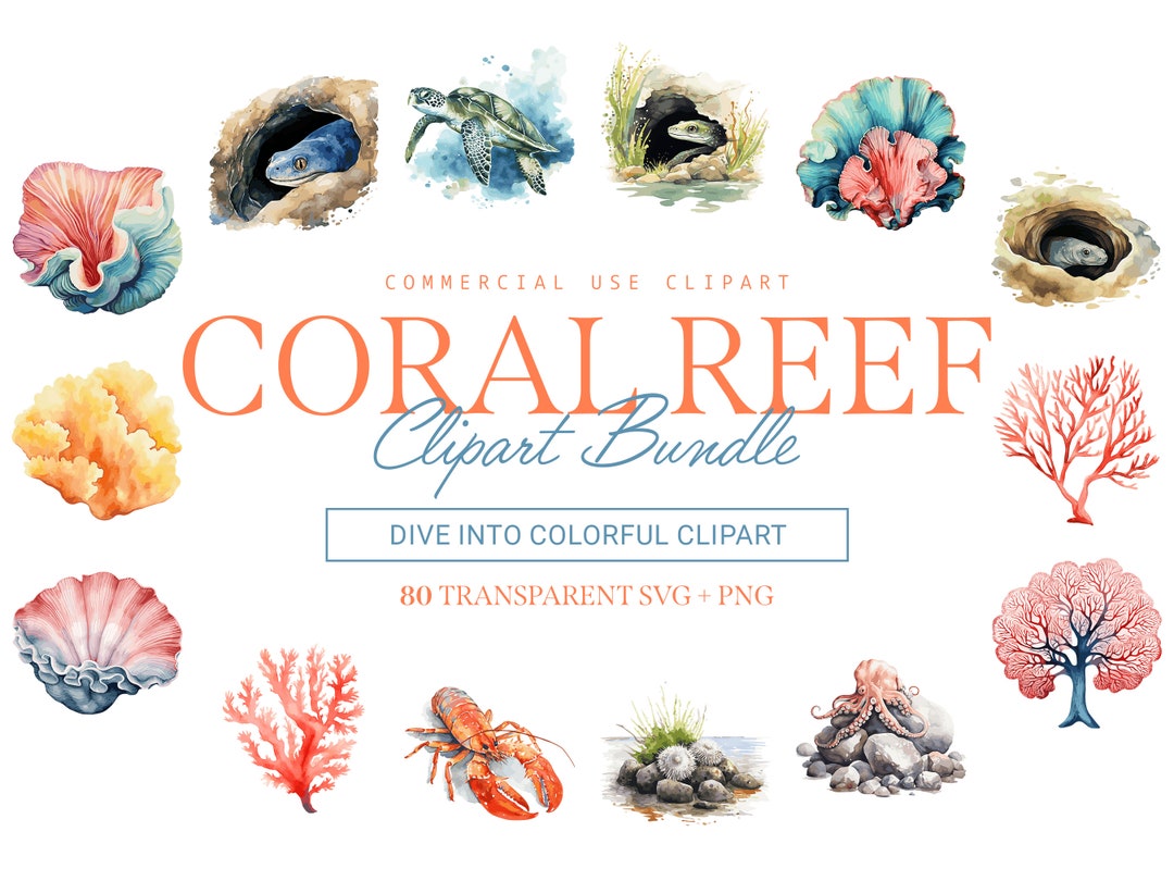 Coral Reef Clipart Bundle - 80 Designs | SVG & PNG | High Resolution ...