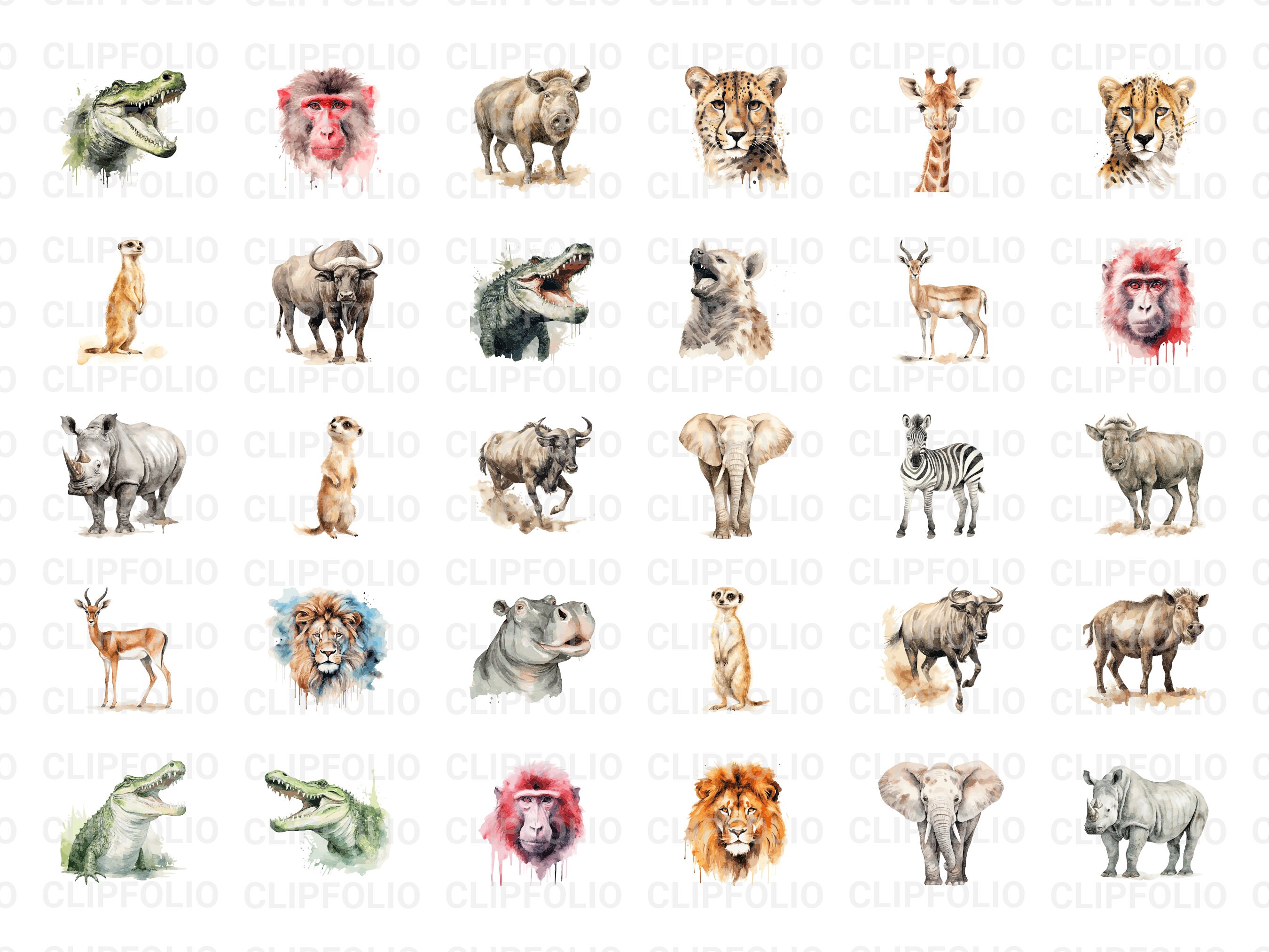 Safari Animal Clipart Bundle: 60 African Wildlife Designs (SVG & PNG ...