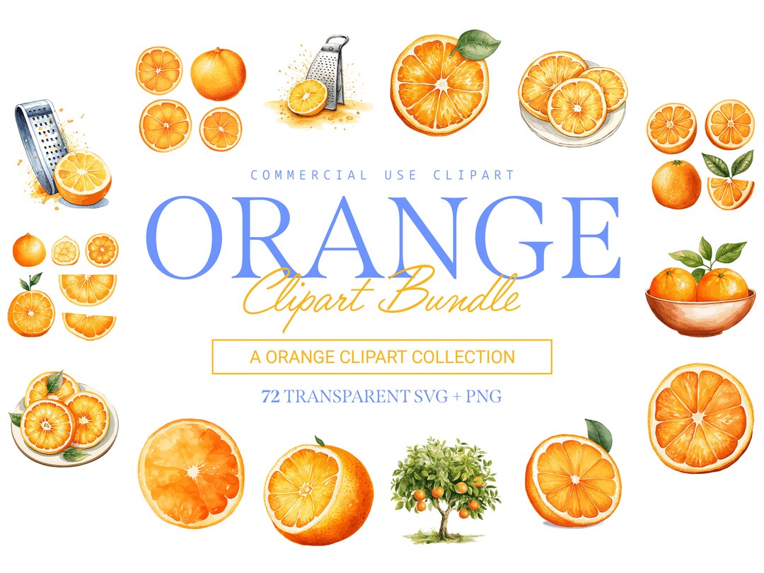 Orange Clipart Bundle - 72 Designs | SVG & PNG | High Resolution ...