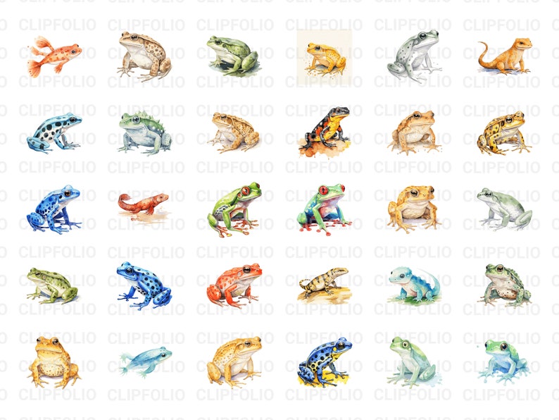 Amphibian Clipart Bundle - 80 Designs | SVG & PNG | High Resolution ...