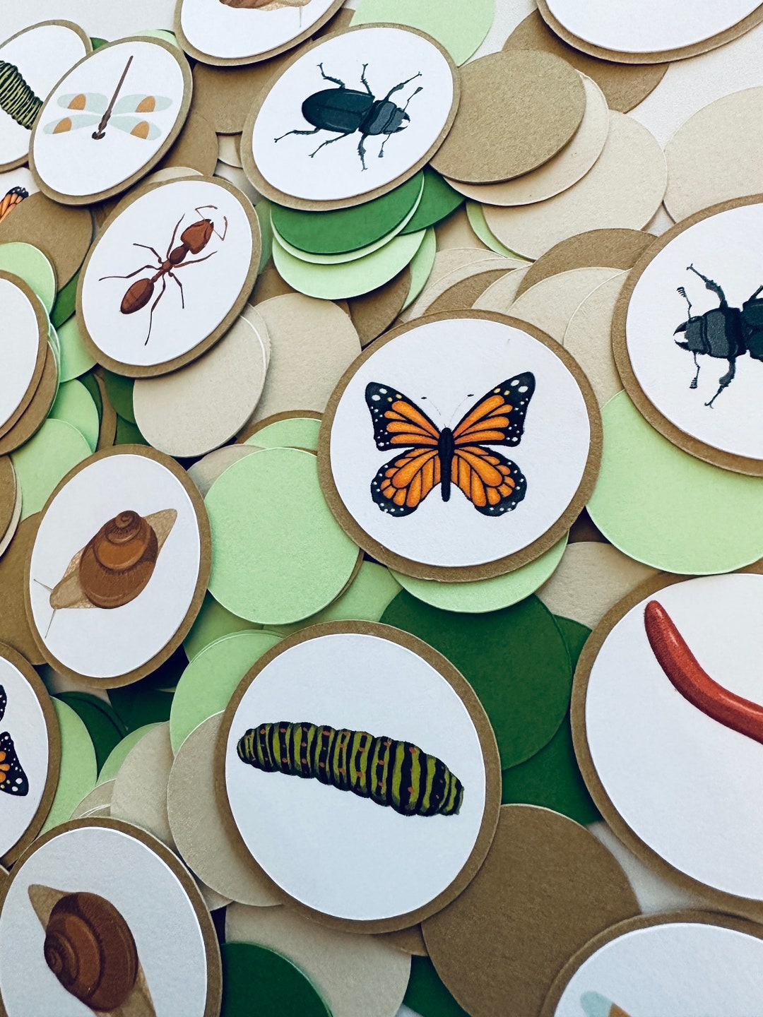 Bug Confetti/insect Confetti/creepy Crawler/creepy Crawler - Etsy