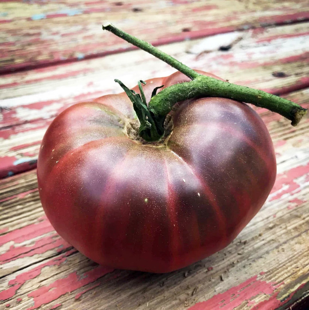 Amazing Brandywine Tomato Determinate Or Indeterminate Photos