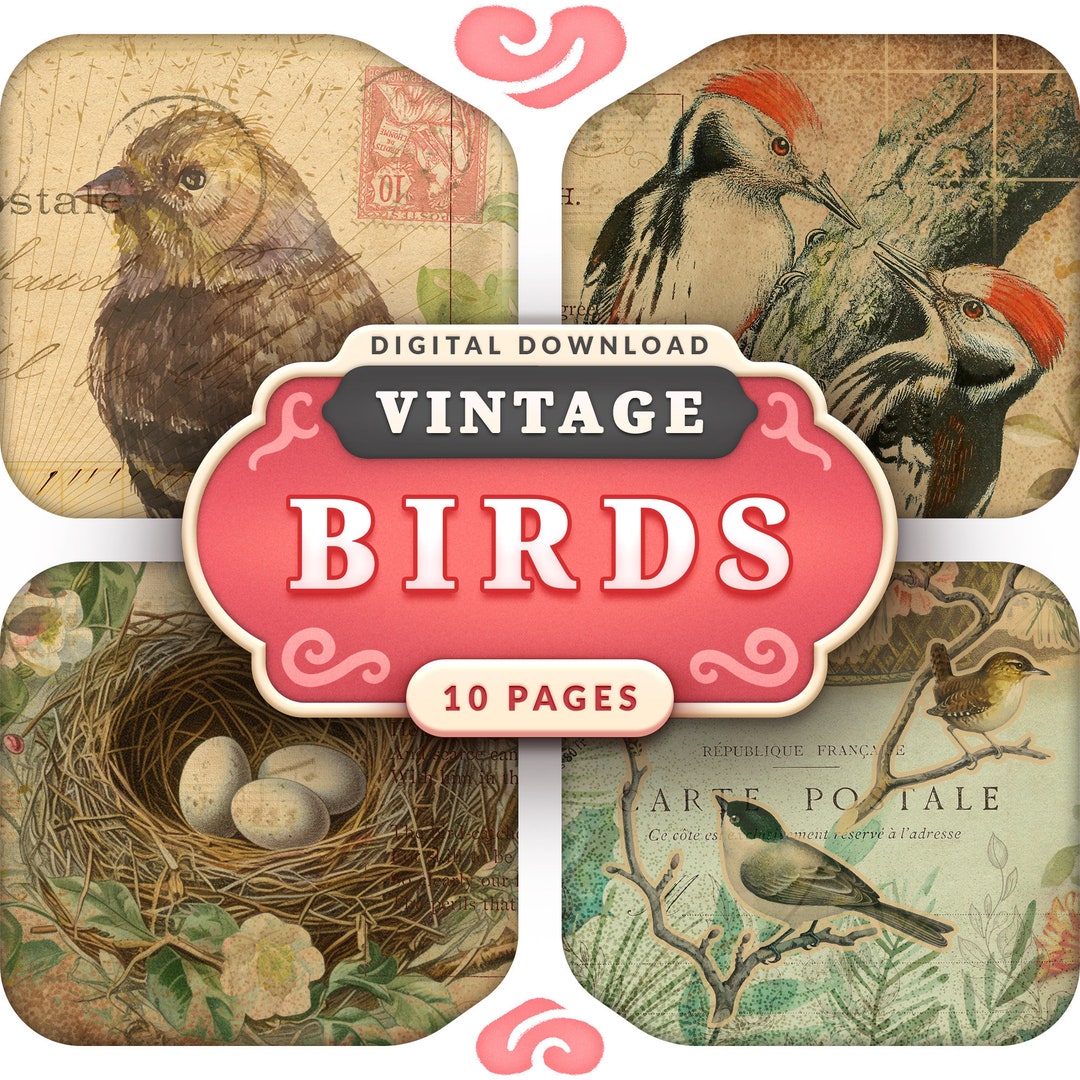 Printable Vintage Birds Scrapbook Kit: Digital Download, Bird, Pockets ...