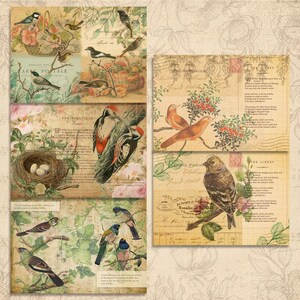 Printable Vintage Birds Scrapbook Kit: Digital Download, Bird, Pockets ...