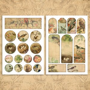 Printable Vintage Birds Scrapbook Kit: Digital Download, Bird, Pockets ...