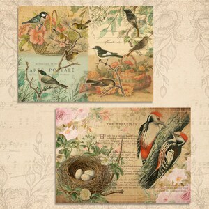 Printable Vintage Birds Scrapbook Kit: Digital Download, Bird, Pockets ...