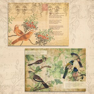 Printable Vintage Birds Scrapbook Kit: Digital Download, Bird, Pockets ...