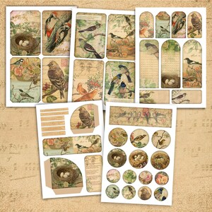 Printable Vintage Birds Scrapbook Kit: Digital Download, Bird, Pockets ...