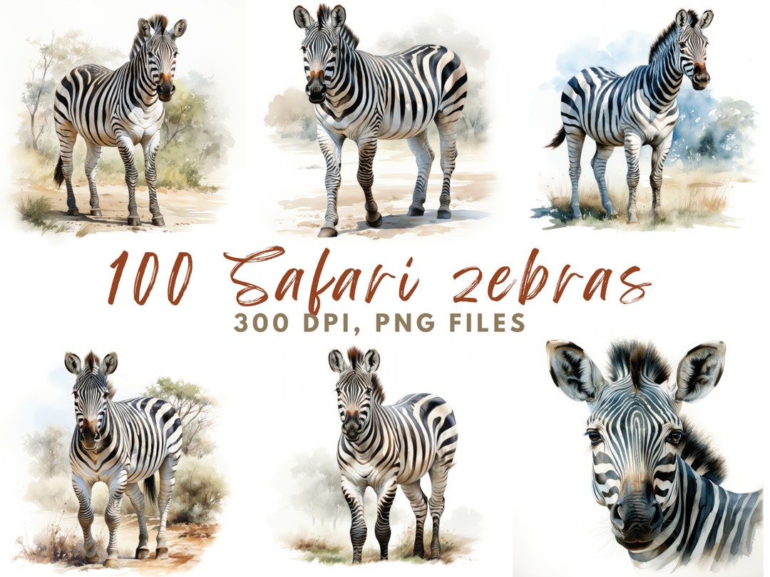 Zebra Clipart Jungle Drawings | 100 PNG Images | Water Color Print ...