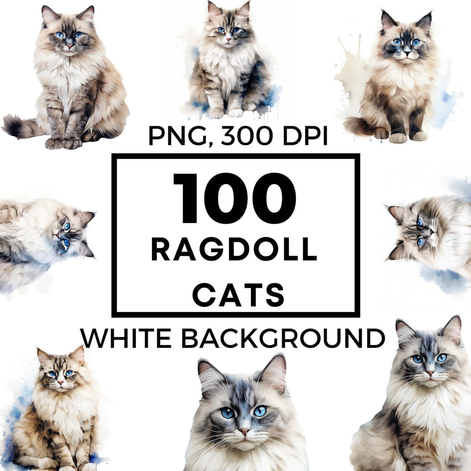 Ragdoll Cats Clipart Bundle POD Allowed Comemercial Use - Etsy