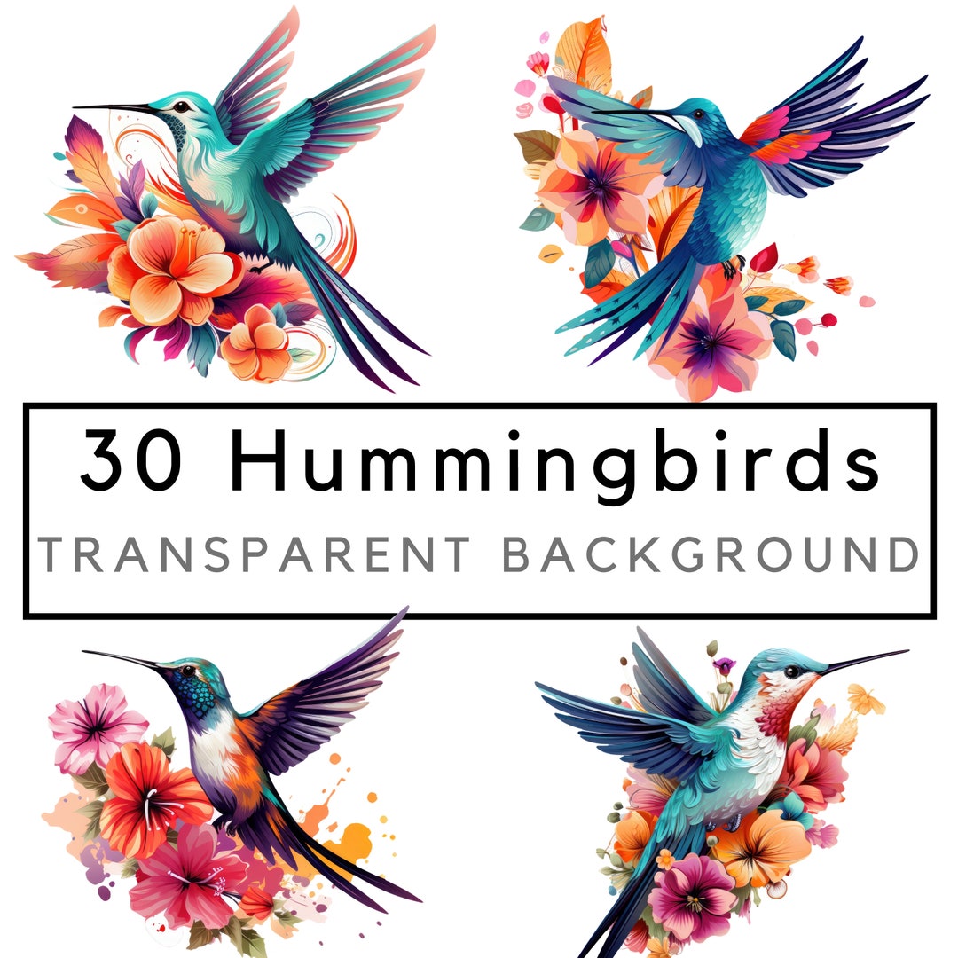 Hummingbird Clipart, Watercolor Birds, Colibri, Junk Journal Graphic ...
