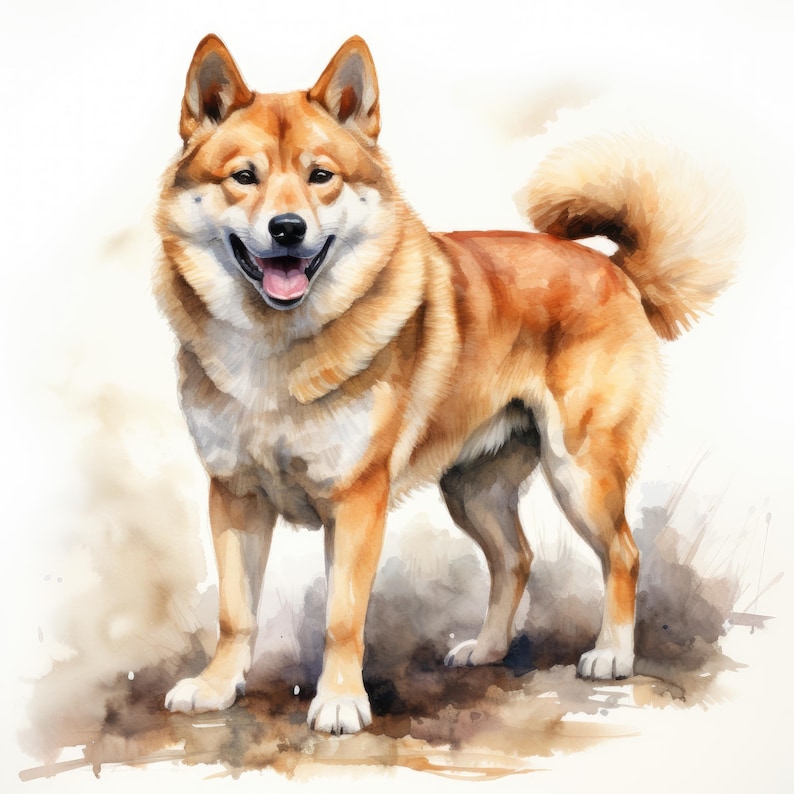 Shiba Inu Png Bundle – Shiba Inu Clipart – POD Allowed – Commercial Use ...