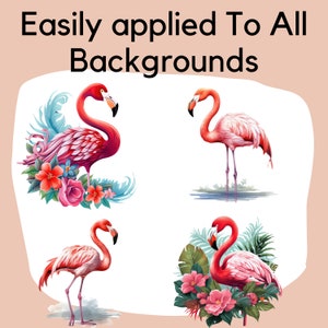 Flamingo Png, Flamingo Clipart, Watercolor Flamingos, Flamingo Png ...