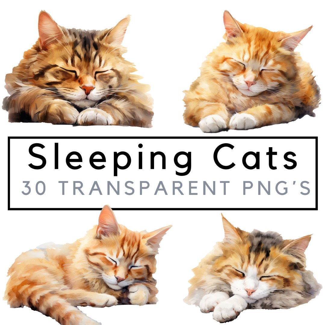 Watercolor Sleeping Cats Clipart – Kitten Clipart – Cat Png Bundle ...