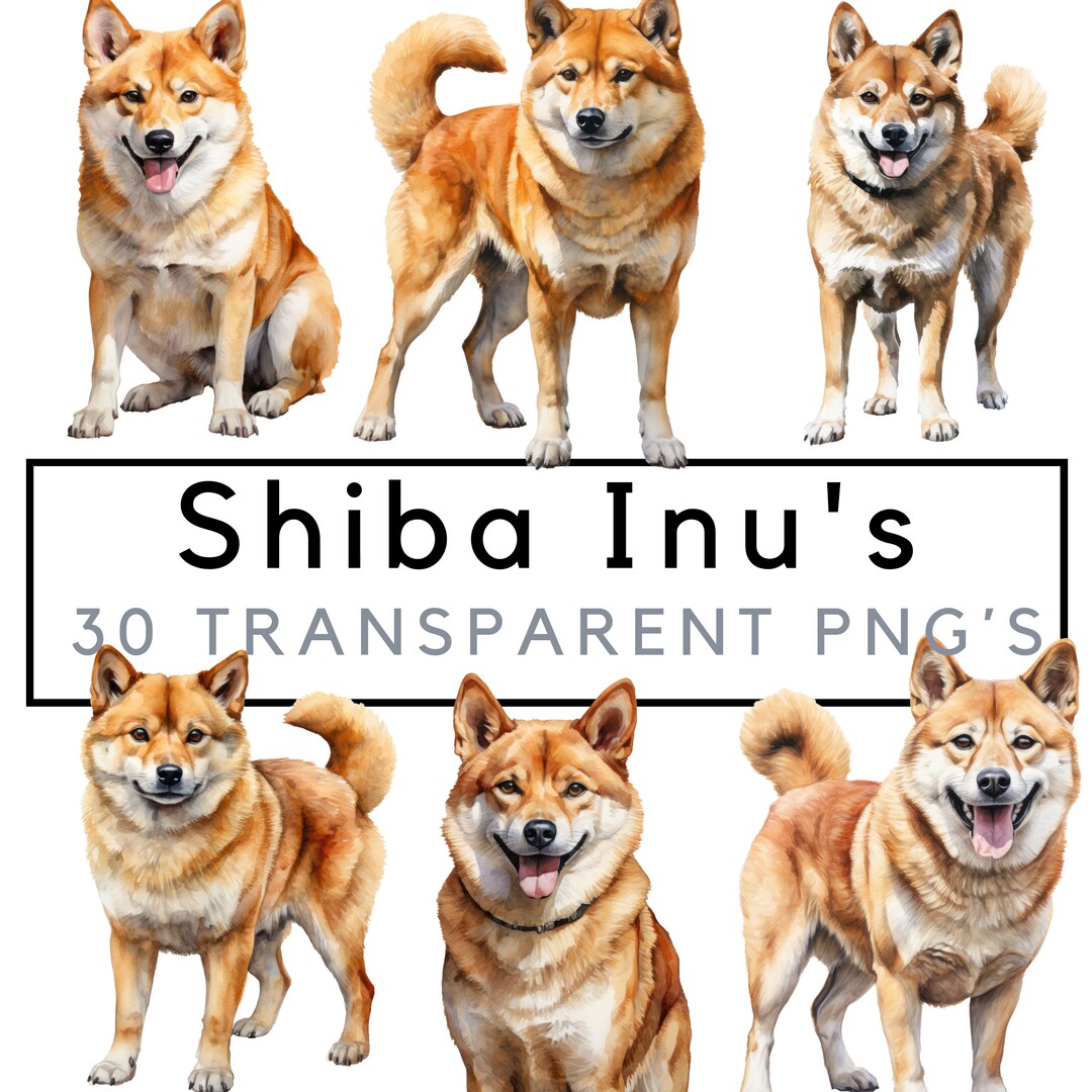 Shiba Inu Clipart – Shiba Inu Png Bundle – POD Allowed – Commercial Use ...