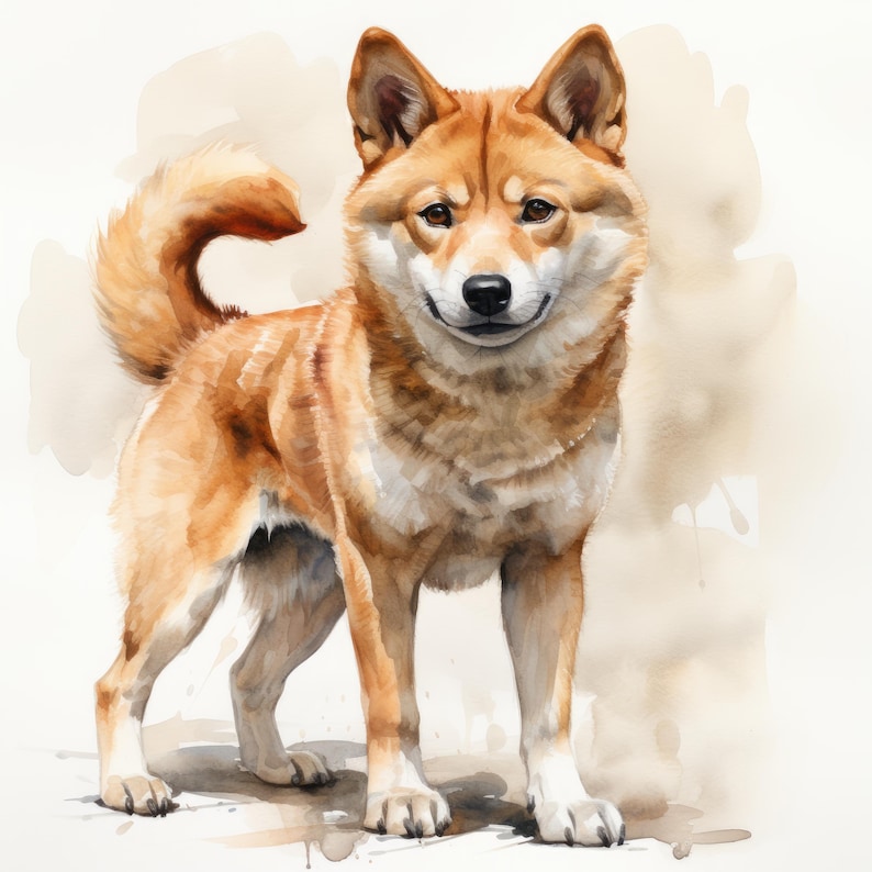 Shiba Inu Png Bundle – Shiba Inu Clipart – POD Allowed – Commercial Use ...