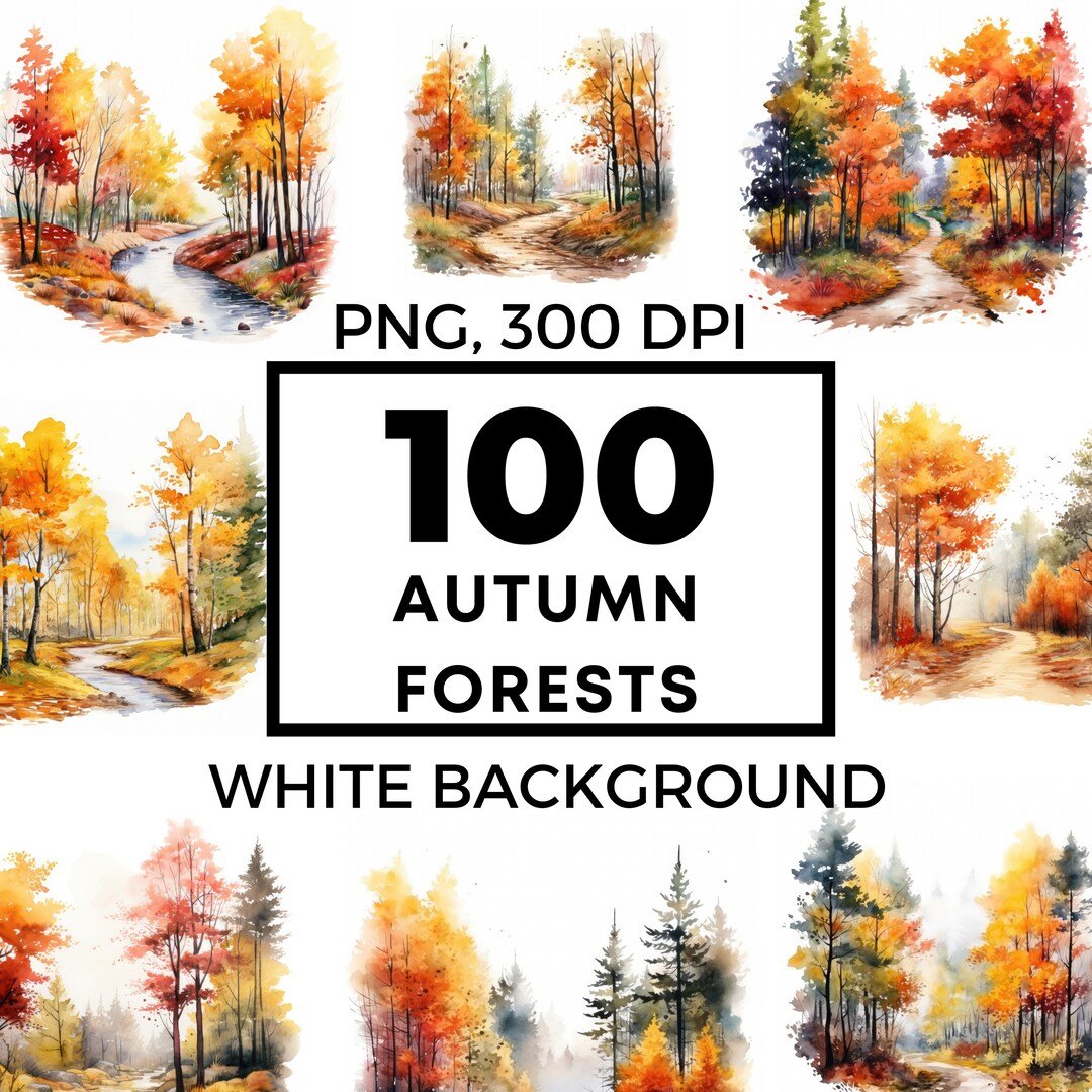Autumn Forest Clipart Bundle, Watercolor Fall Forest Drawings, Autumn ...