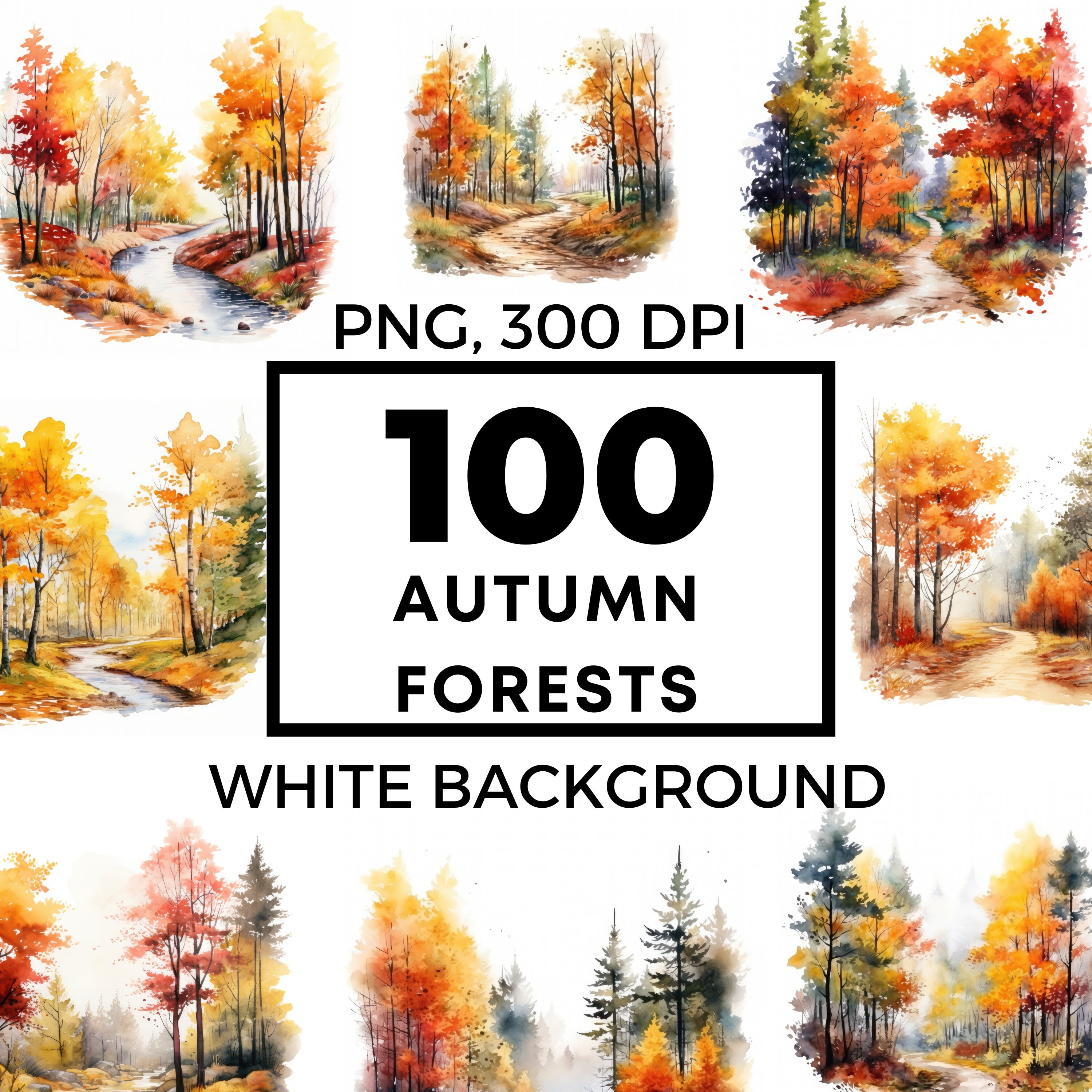 Autumn Forest Clipart Bundle Watercolor Fall Forest Drawings - Etsy
