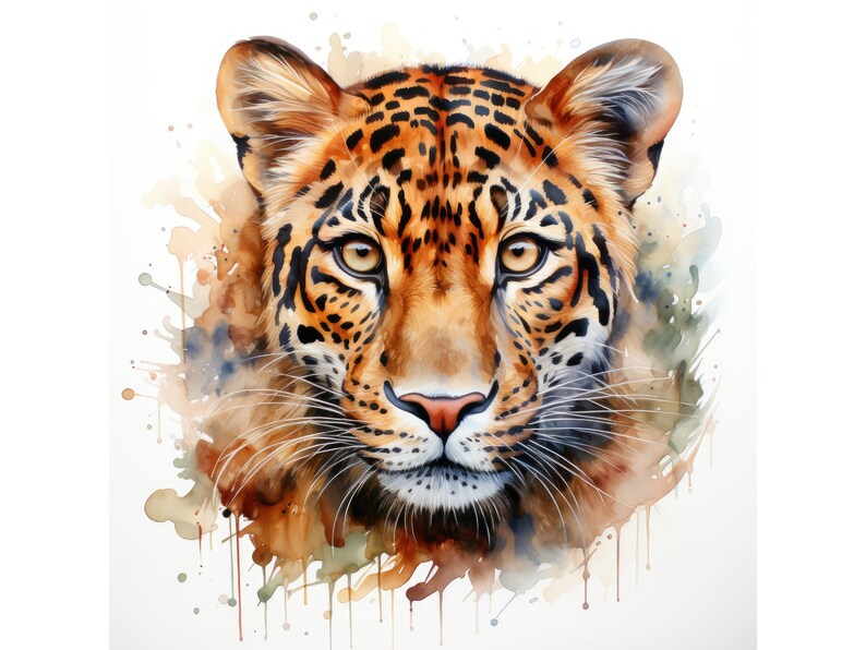 Leopard Clipart Jungle Drawings | 100 PNG Images | Water Color Print ...
