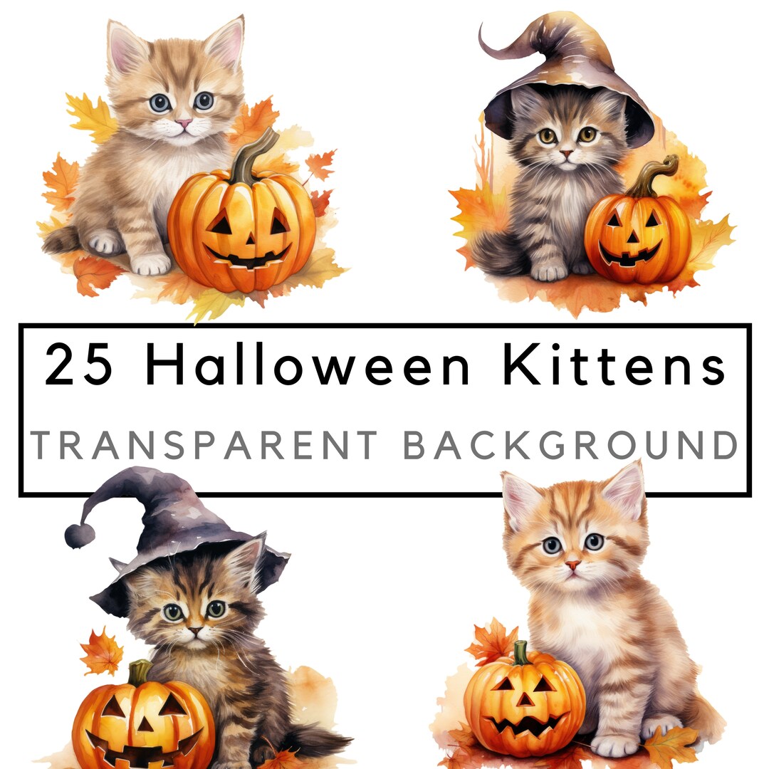Halloween Kitten Clipart, Cat Png, Kitten Clip Art, Pumpkin Clipart ...
