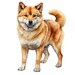 Shiba Inu Clipart Shiba Inu Png Bundle POD Allowed Commercial Use ...