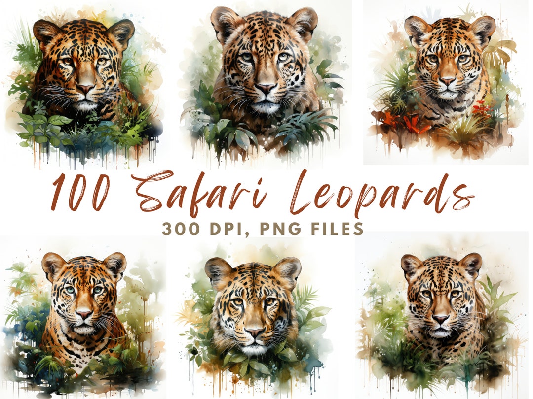 Leopard Clipart Jungle Drawings | 100 PNG Images | Water Color Print ...