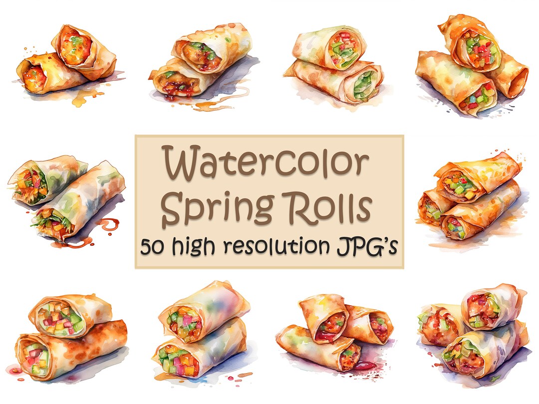 Spring Rolls Clipart, 50 High Quality Jpg’s , Watercolor, Spring Rolls ...