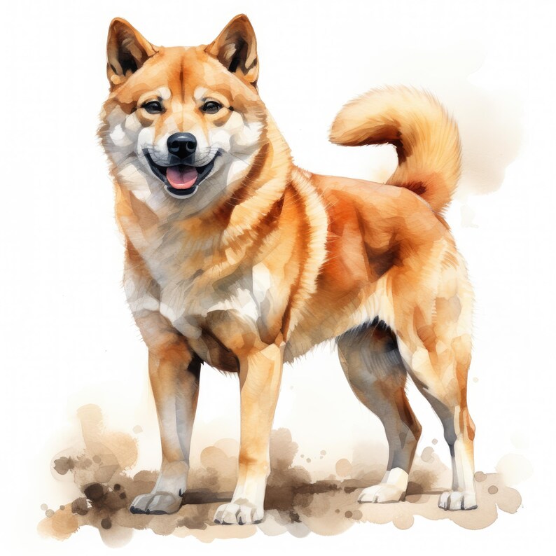 Shiba Inu Png Bundle – Shiba Inu Clipart – POD Allowed – Commercial Use ...